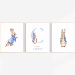 Peter Rabbit Wall Art, Set of 3 Peter Rabbit Printable, Peter Rabbit ...