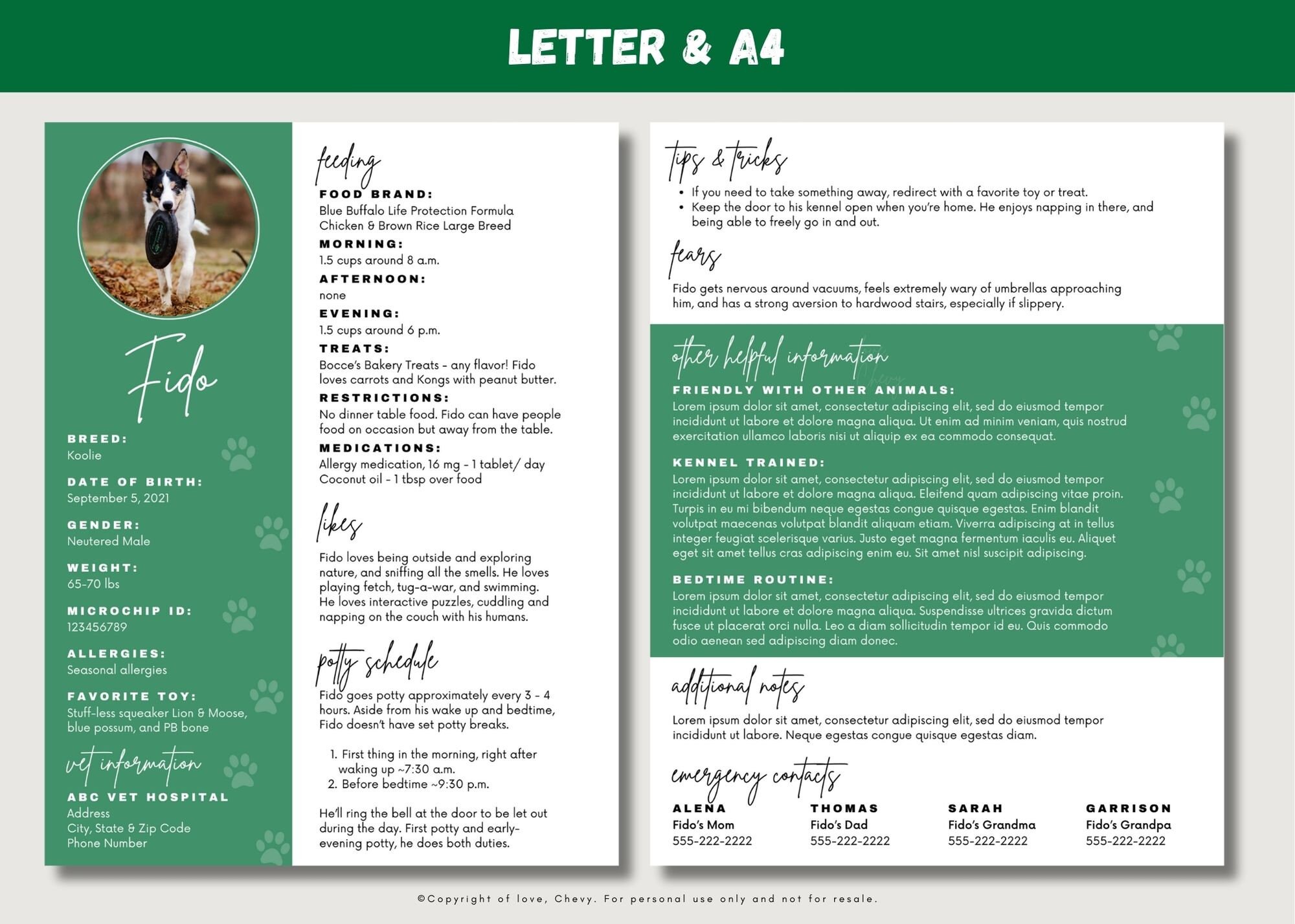 Pet Care Simplified With Fido Information Form - Ideal for Pet Parents ...