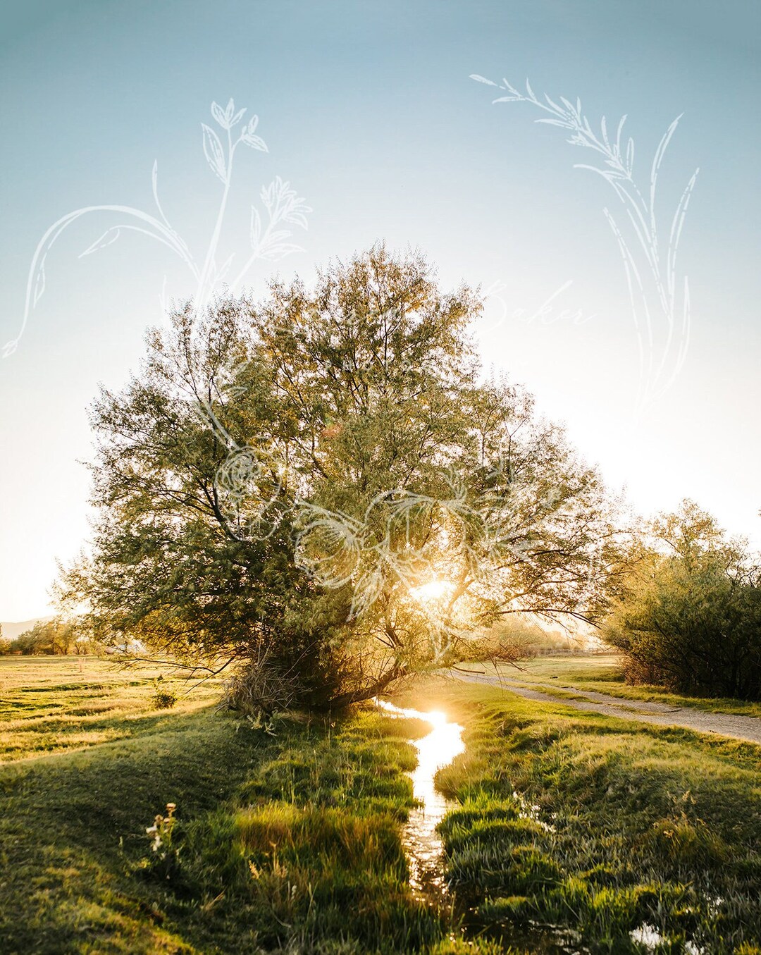 DIGITAL DOWNLOAD, Farm Scene, Tree Scenery, Tree Landscape, - Etsy