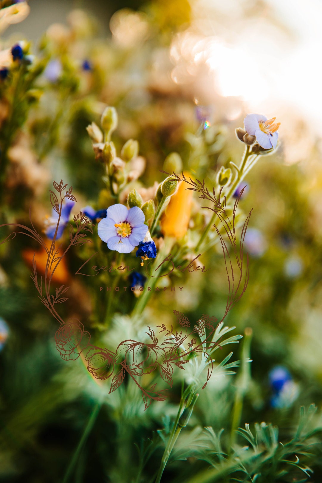 DIGITAL DOWNLOAD, Little Blue Flower, Wildflowers Photography, Flower ...