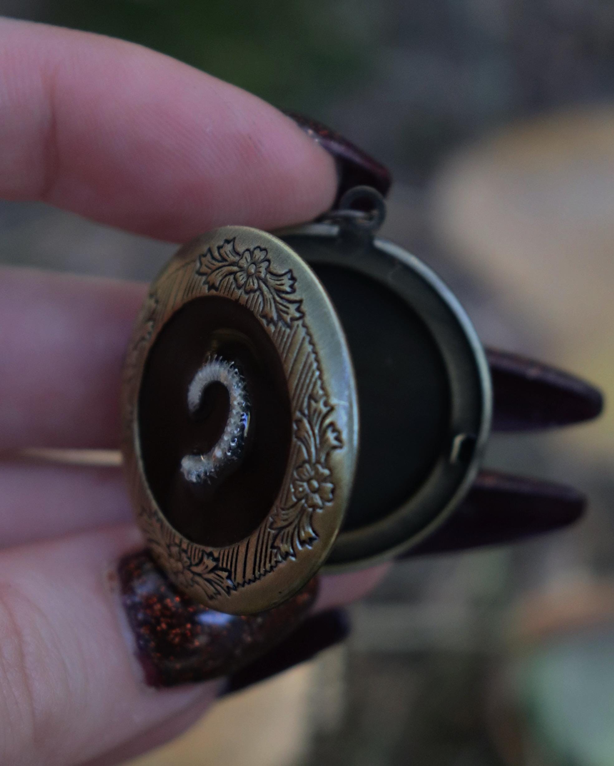 Snake Locket - Real Animal Bones, Snake Vertebrae, Spine Necklace ...