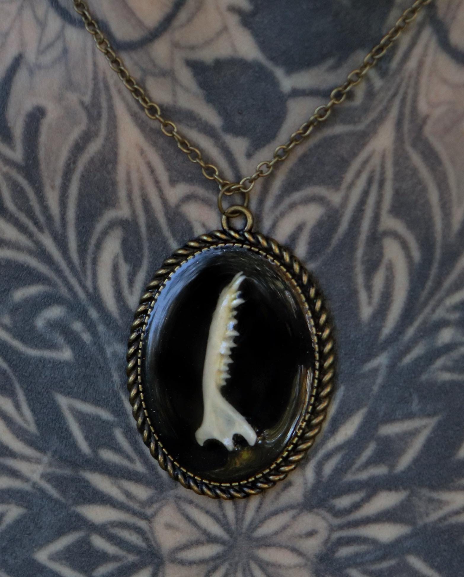 Shrew Necklace - Tooth Necklace, Gothic, Bone Jewelry, Statement ...