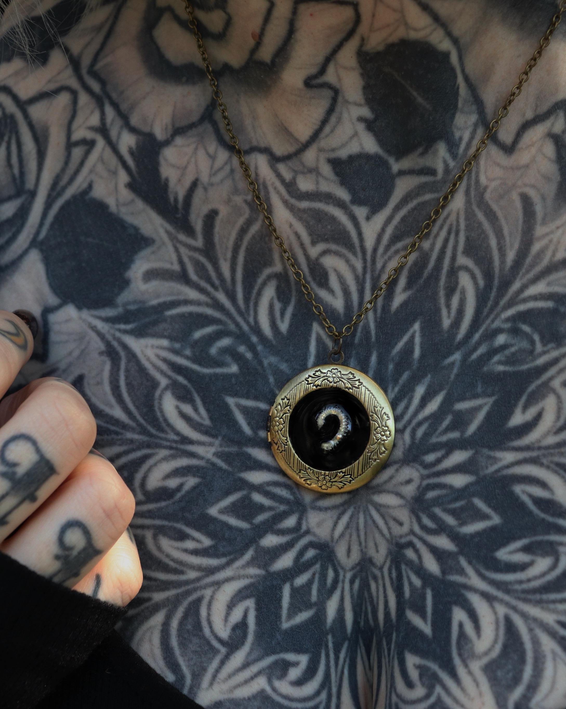 Snake Locket - Real Animal Bones, Snake Vertebrae, Spine Necklace ...