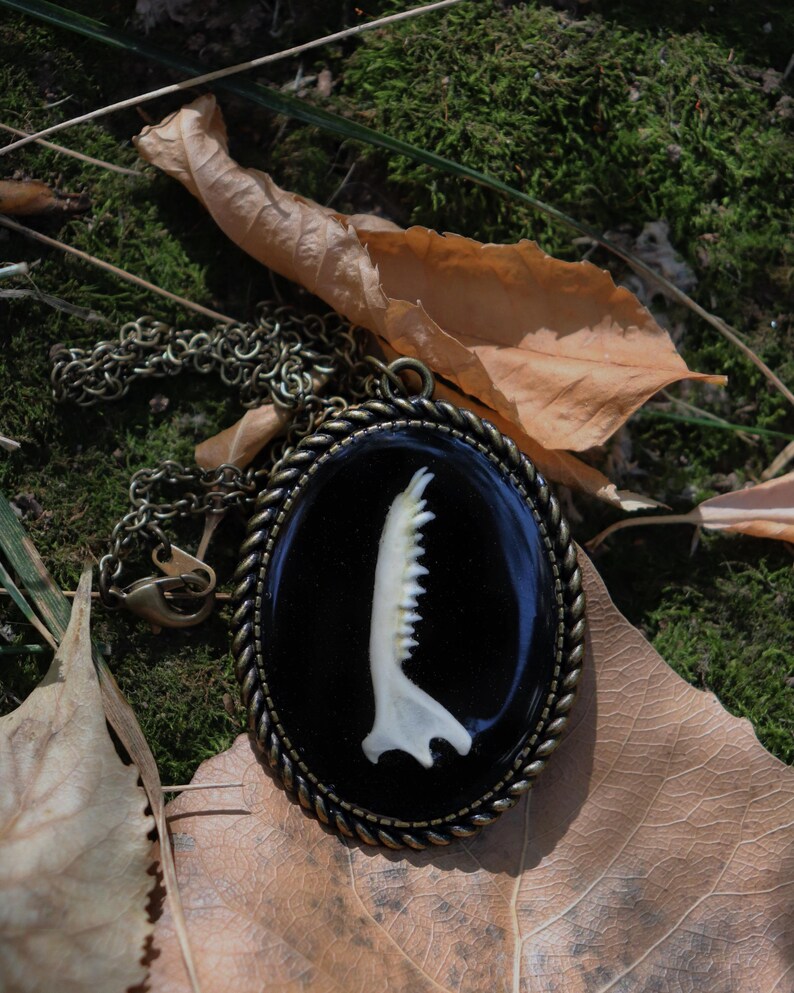 Shrew Necklace - Tooth Necklace, Gothic, Bone Jewelry, Statement ...