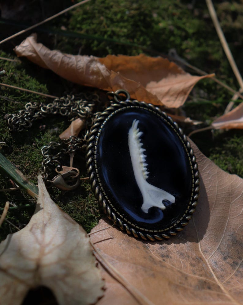 Shrew Necklace - Tooth Necklace, Gothic, Bone Jewelry, Statement ...