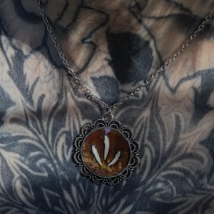 Fox Photo Necklace - Instant Photo, Instant Film, Fox Teeth, Real ...