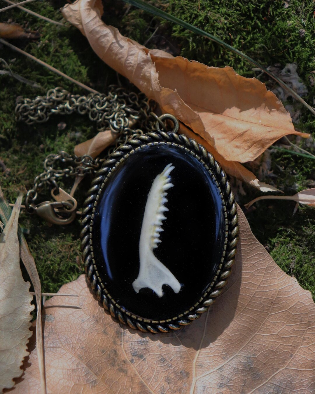 Shrew Necklace - Tooth Necklace, Gothic, Bone Jewelry, Statement ...