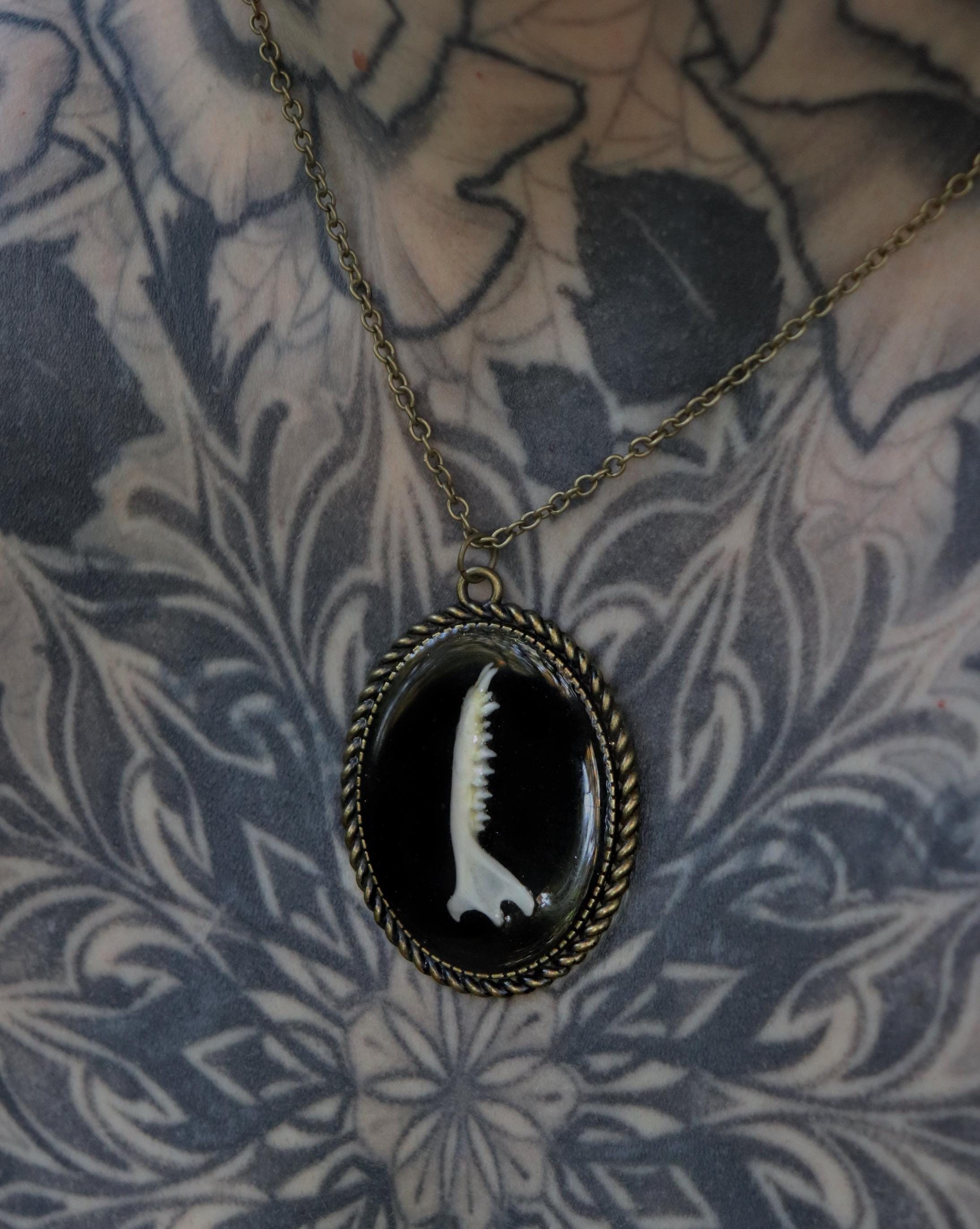 Shrew Necklace - Tooth Necklace, Gothic, Bone Jewelry, Statement ...