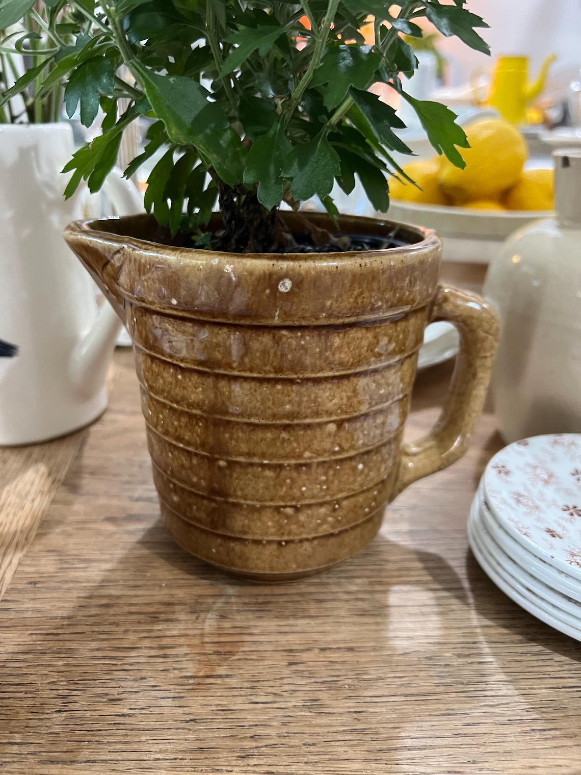 Brown Vintage Stoneware Maple Syrup Pitcher - Etsy
