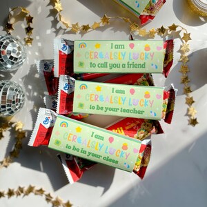 St. Patrick's Day Printable, DIY Birthday Party Favor, School Party ...