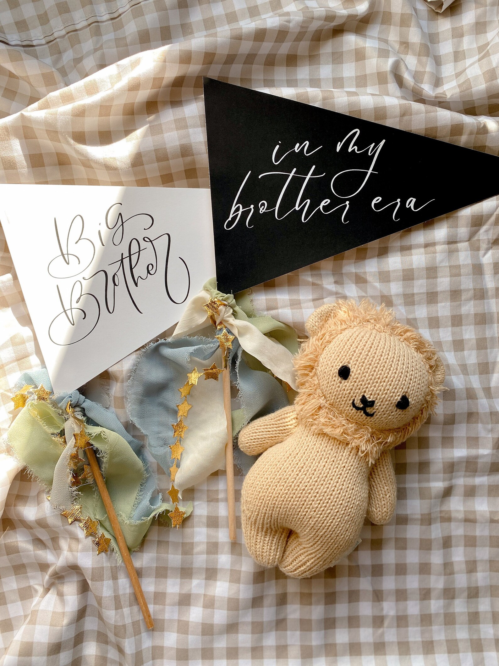 Big Brother Pennant Flag, Photo Prop for Pregnancy Announcement, Set of ...