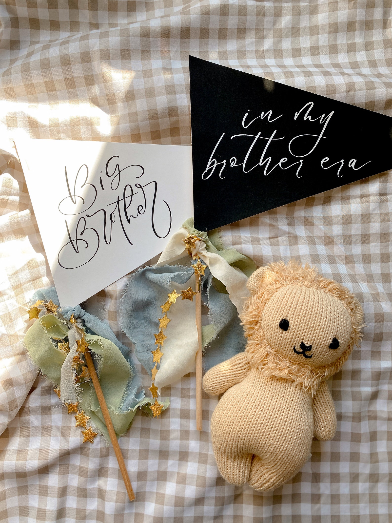 Big Brother Pennant Flag, Photo Prop for Pregnancy Announcement, Set of ...