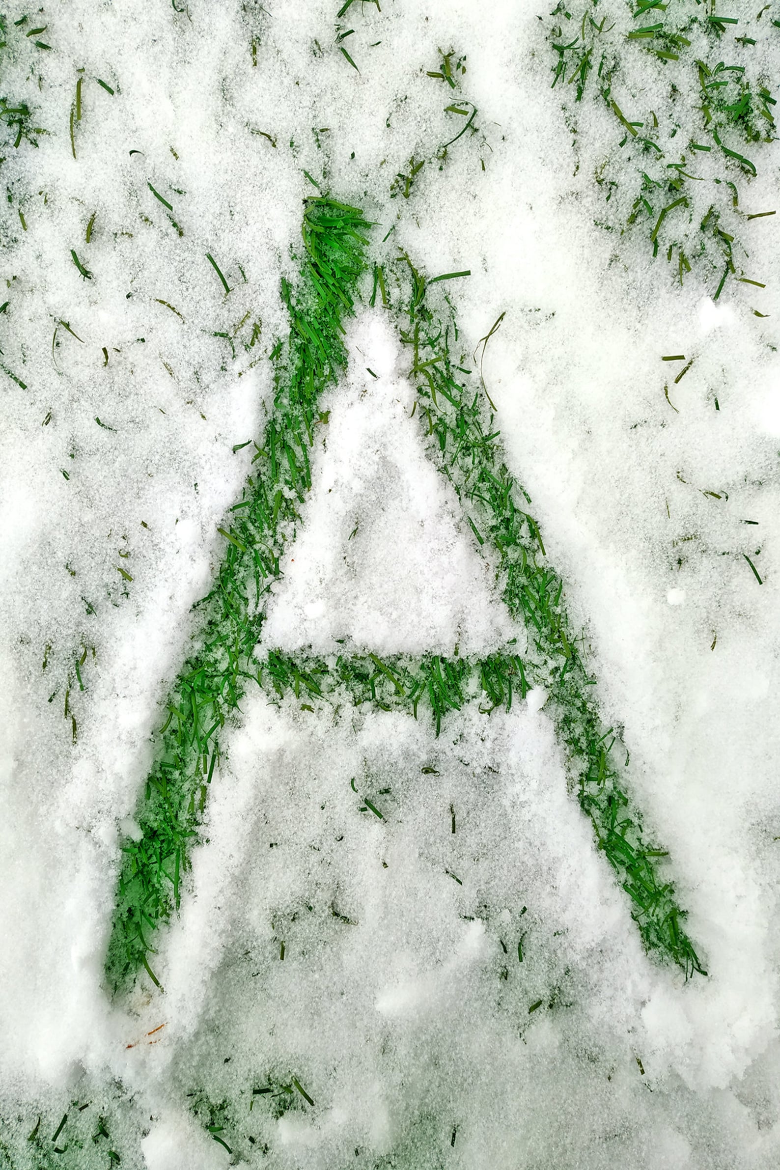 Nature Alphabet Photo Letter Art Alphabet Download | Etsy