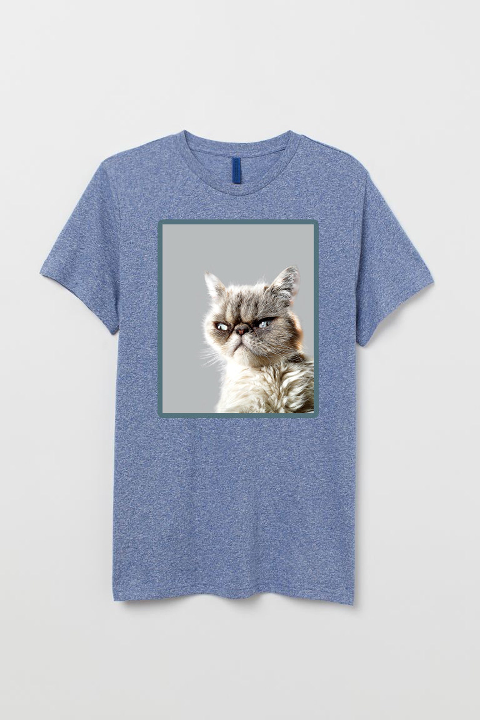 Art Printable Poster cat Cat Art Digital download cat Pet | Etsy