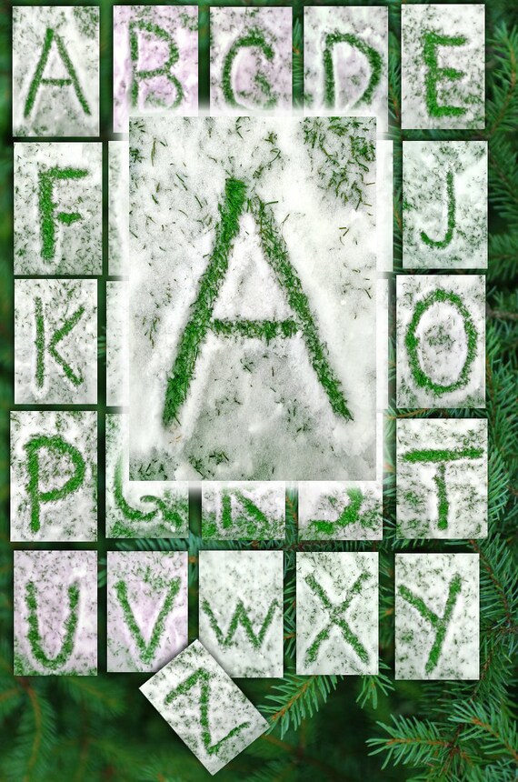 Nature Alphabet Photo Letter Art Alphabet Download | Etsy