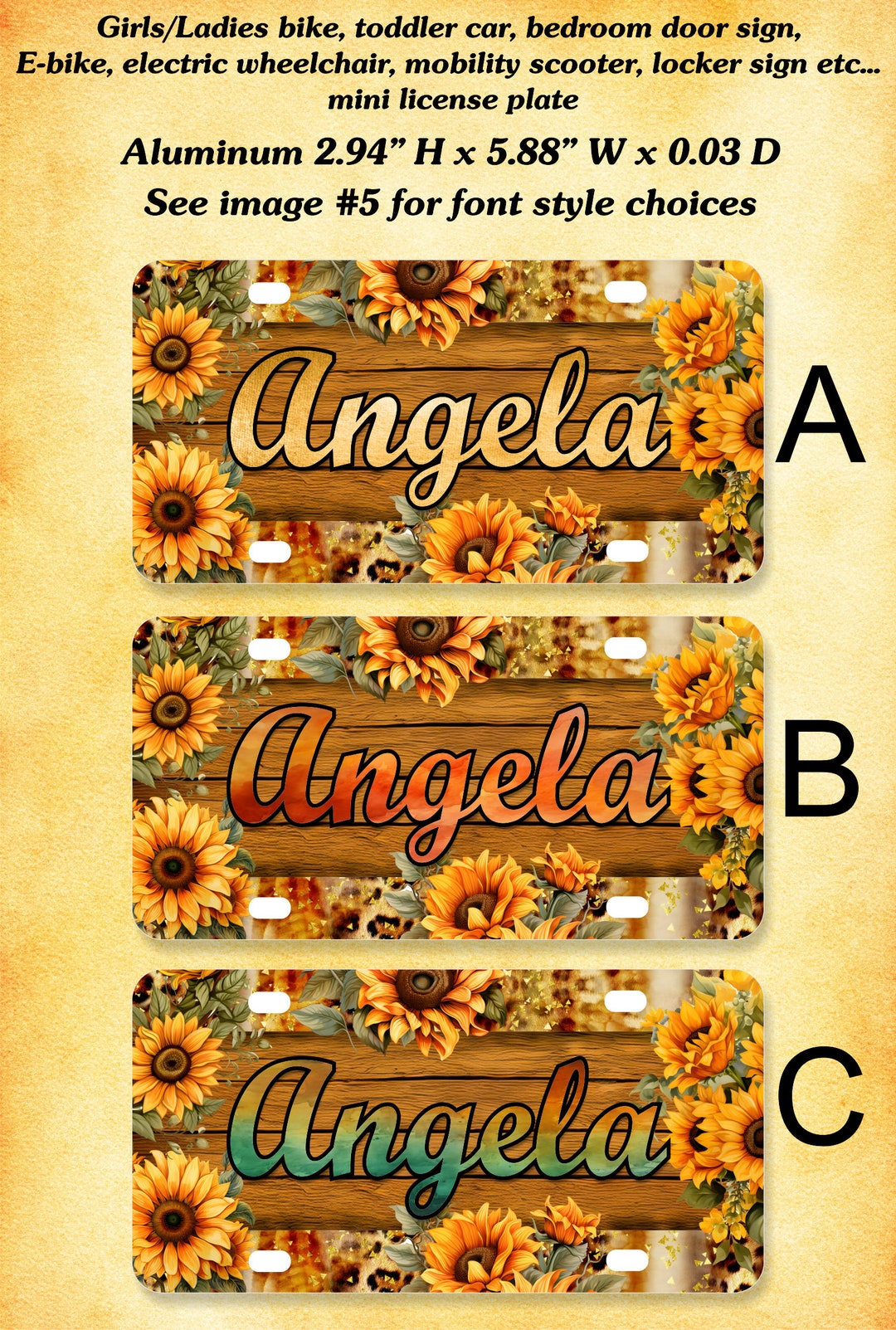 Mini License Plate, Girls-ladies Bike Name Plate, Mobility Scooter ...