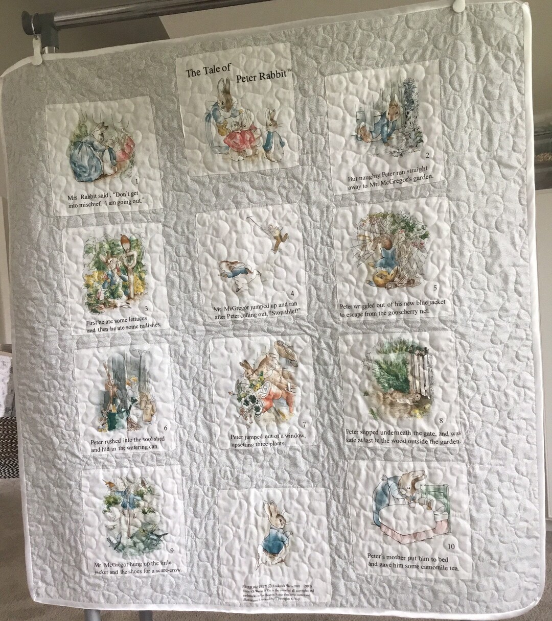 The tale of Peter Rabbit the Mischievous Adventures of Peter Rabbit in ...