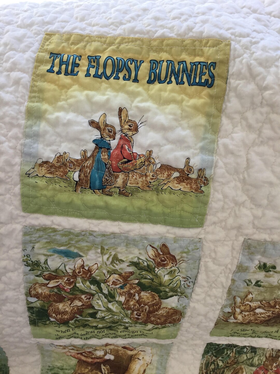 Peter Rabbit "the Story of the Flopsy Bunnies" Beatrix Potter Classic ...