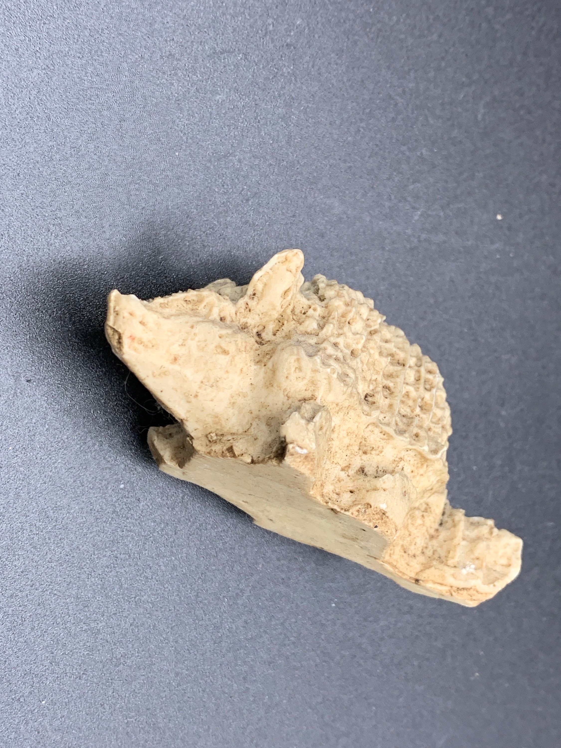 Vintage ARMADILLO TAN RESIN 2 3/4 long x 1 1/4 high x 1 1/4 | Etsy