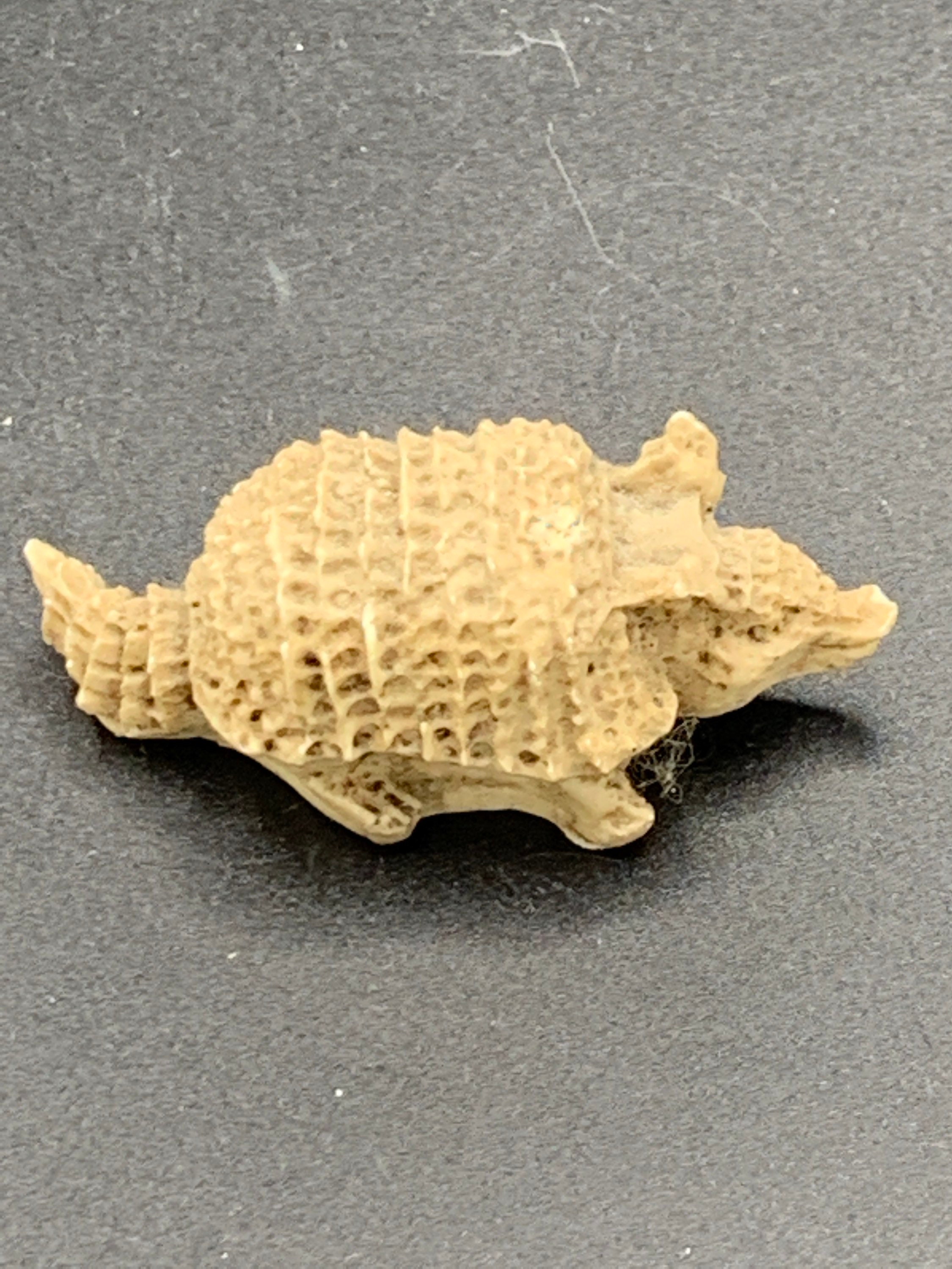 Vintage ARMADILLO TAN RESIN 2 3/4 Long X 1 1/4 High X 1 1/4 - Etsy UK