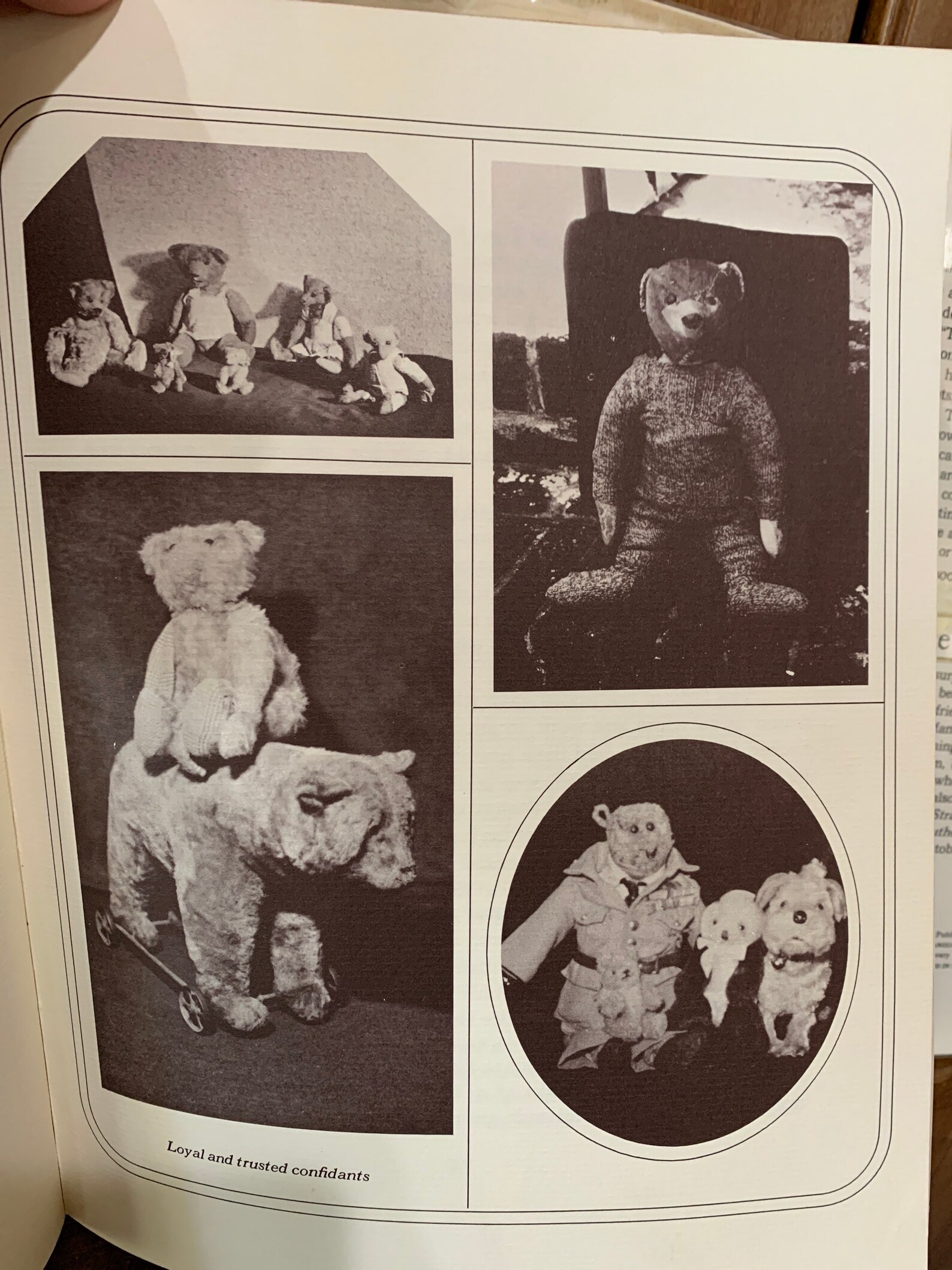 1970 the TEDDY BEAR BOOK by Peter Bull Hardcover W Jacket Plastic Over ...