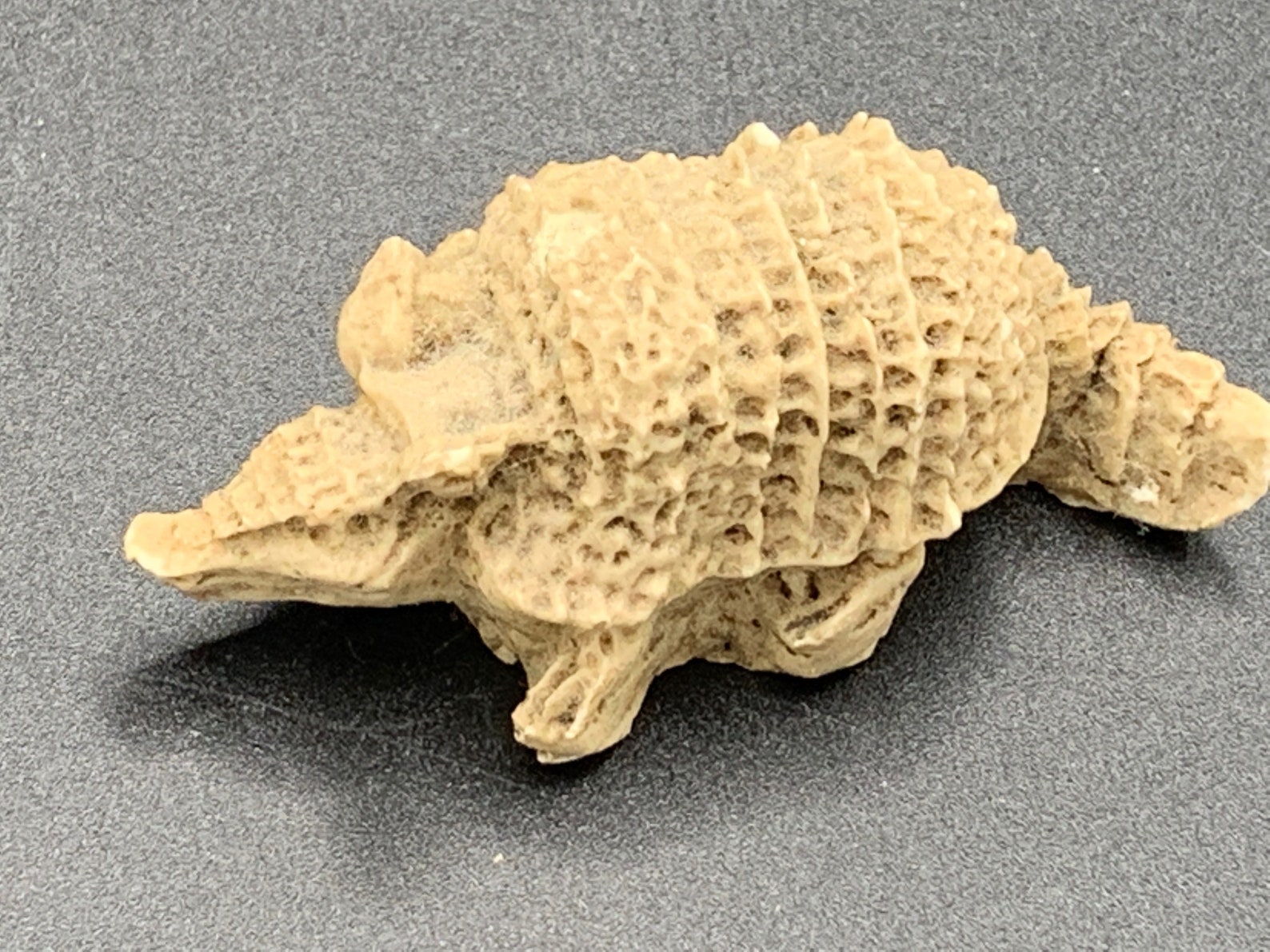 Vintage ARMADILLO TAN RESIN 2 3/4 Long X 1 1/4 High X 1 1/4 - Etsy UK