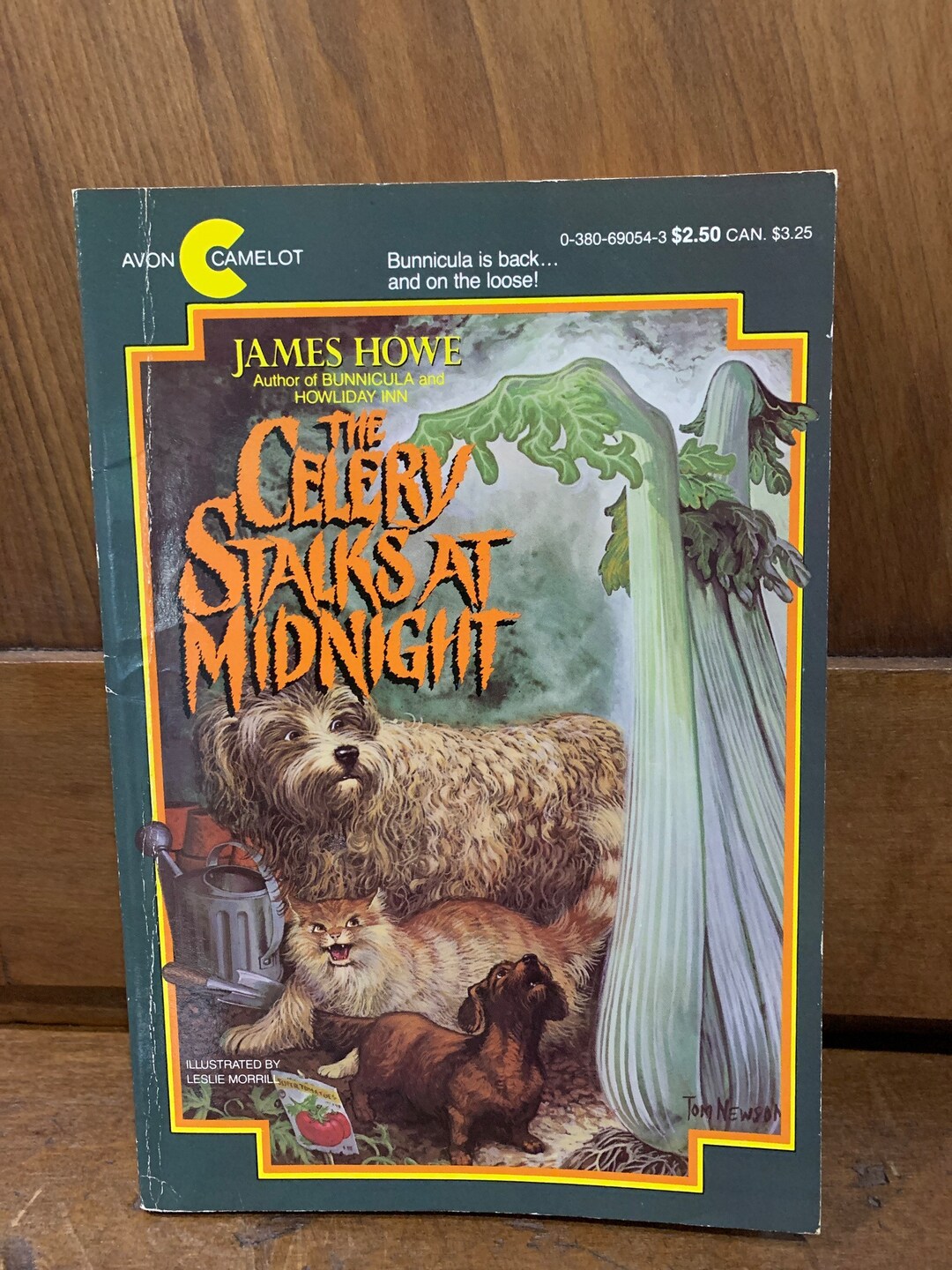 Rare 80s the Celery Stalks at Midnight James Howe Avon Camelot Vintage ...
