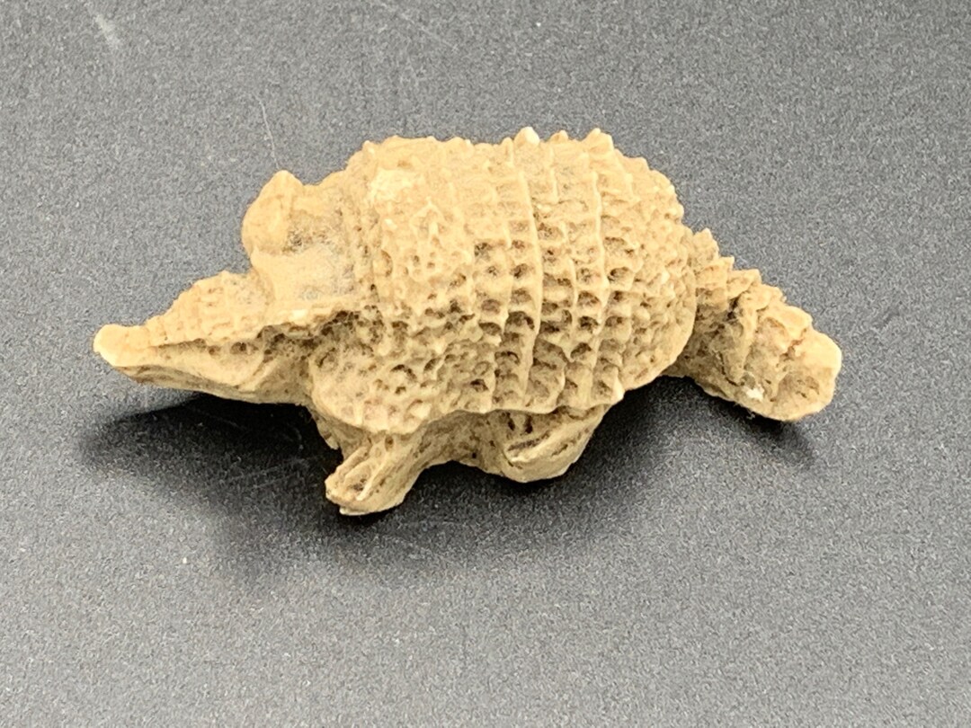 Vintage ARMADILLO TAN RESIN 2 3/4” Long X 1 1/4” High X 1 1/4” Deep ...