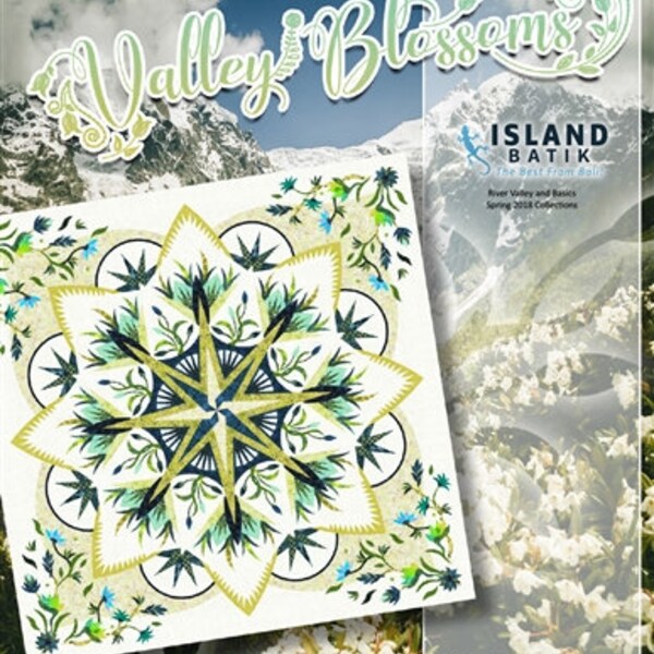 Judy Niemeyer Quilt Kits - Etsy