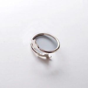 Personalized Any States Ring,double State Ring,country Rings Silver,two ...
