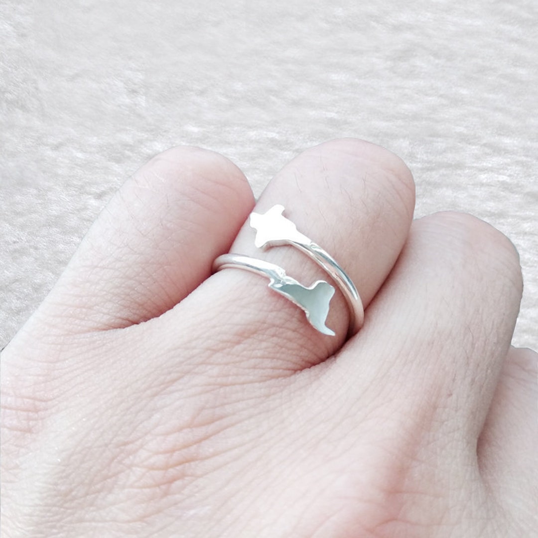 Arkansas and Illinois Ring,two States Ring,personalized Any States Ring ...