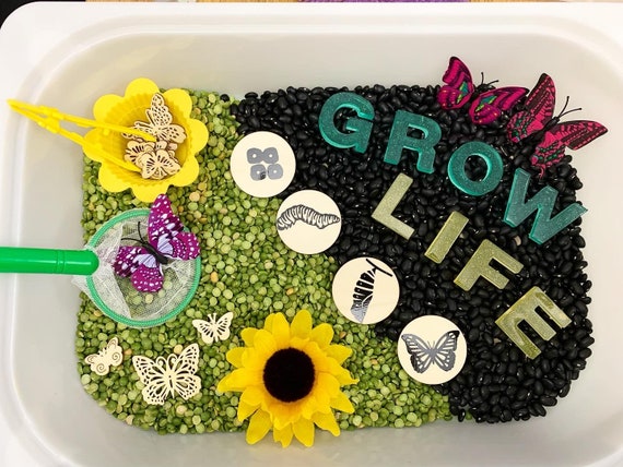 Butterfly Life Cycle Sensory Kit | Etsy