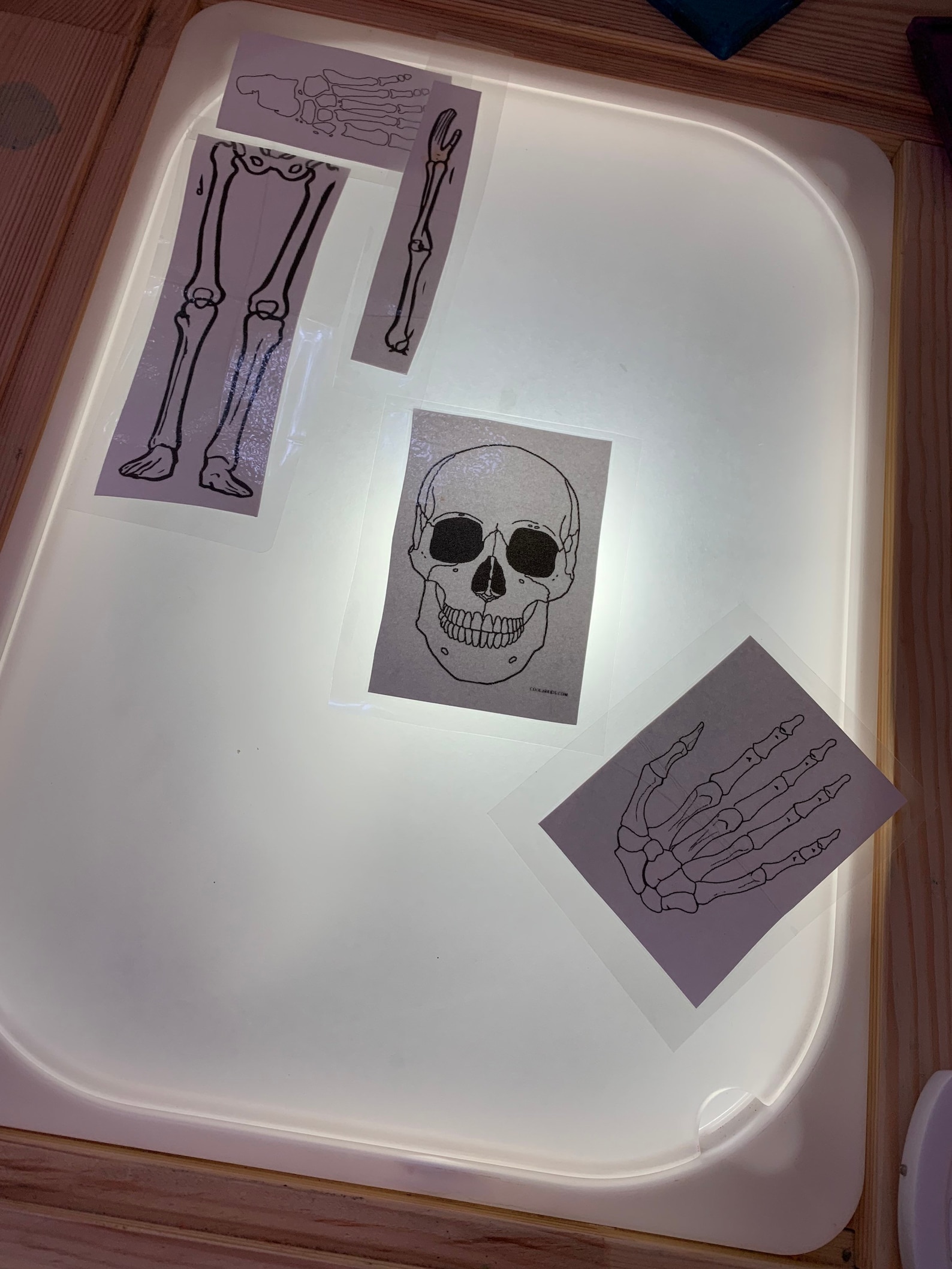 Frosted Acrylic Light Board or Table Large Flisat Insert Board | Etsy