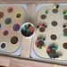 Large Double Sided Flisat Colour Sorting & Counting Insert, Flisat ...