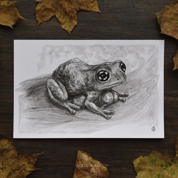 Original Ink Drawing Inktober Frog - Etsy