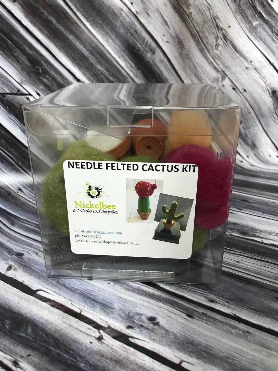 Needle Felted Cactus Kit Includes Everything You Need Makes Two Cacti ...