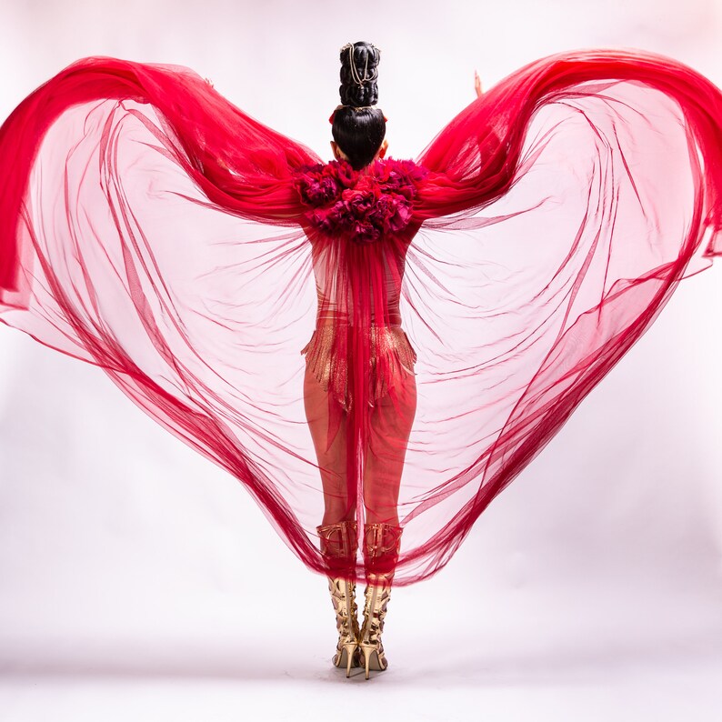 Red Cape in Veil, Glamour, Evening, Festival, Stage, Singer Costume ...