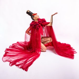 Red Cape in Veil, Glamour, Evening, Festival, Stage, Singer Costume ...
