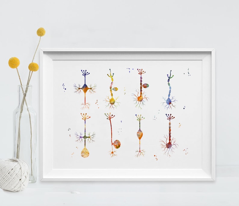 Neuron Cells Art Print Watercolor Neurons Synapses Print Brain Cells ...