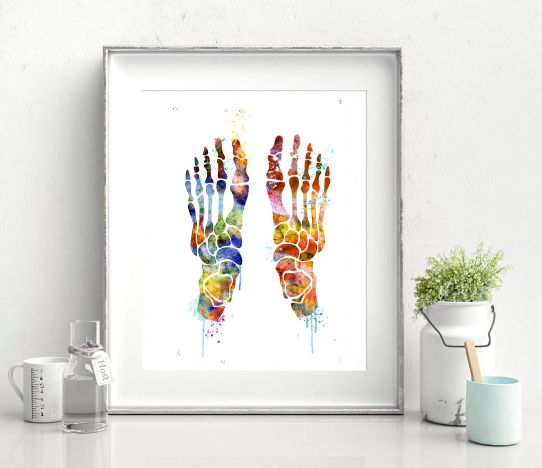 Foot Bones Watercolor Print Anatomy Human Feet Print Anatomy Art Print ...