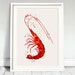 PRAWN Watercolor Art Print Sea Life Prawn Ink Painting Underwater ...