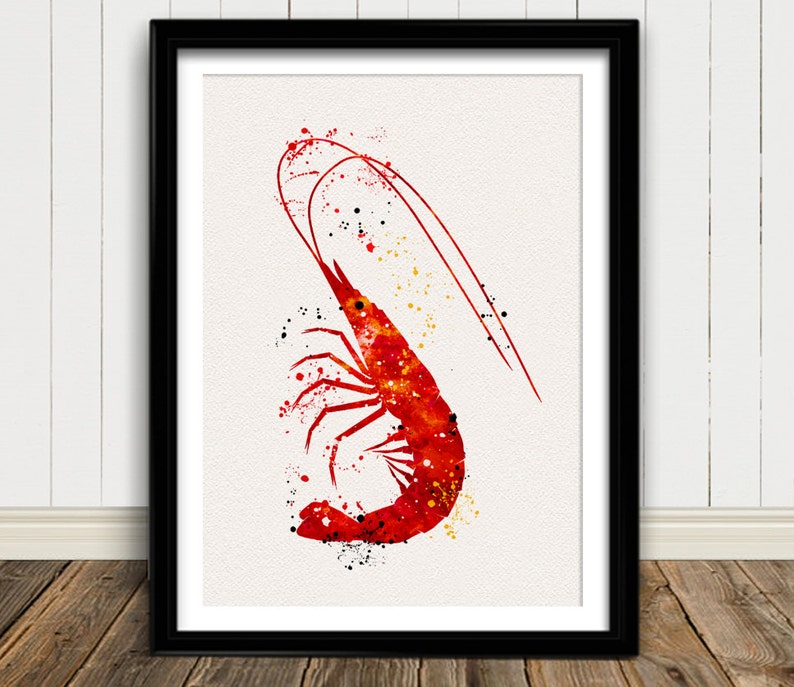 PRAWN Watercolor Art Print Sea Life Prawn Ink Painting - Etsy