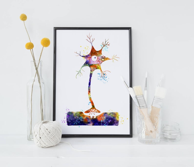 Neuron Cell Synapse Brain Cells Chemical Synapses Art Watercolor Print ...