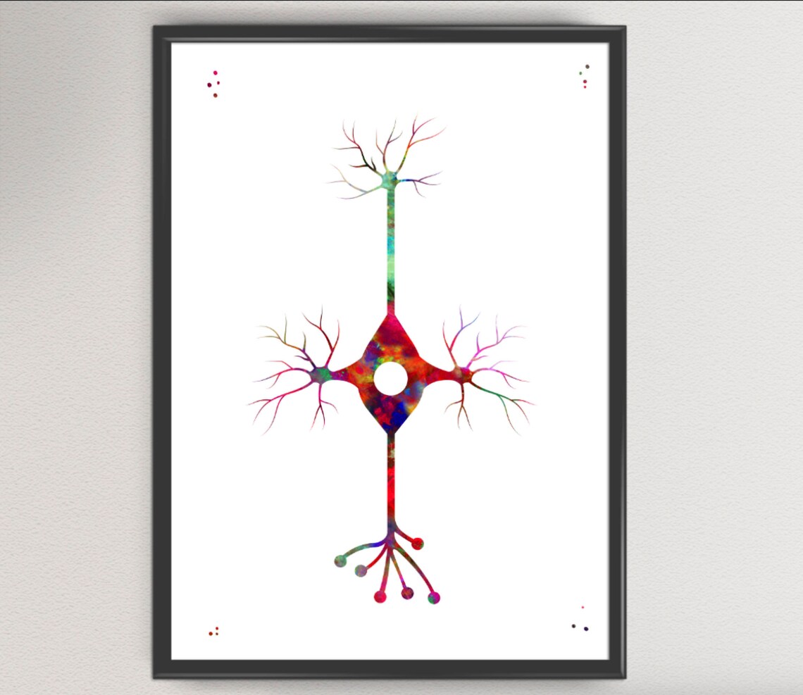 Neuron Cell Art Print Watercolor Neurons Synapses Print Brain Cells ...