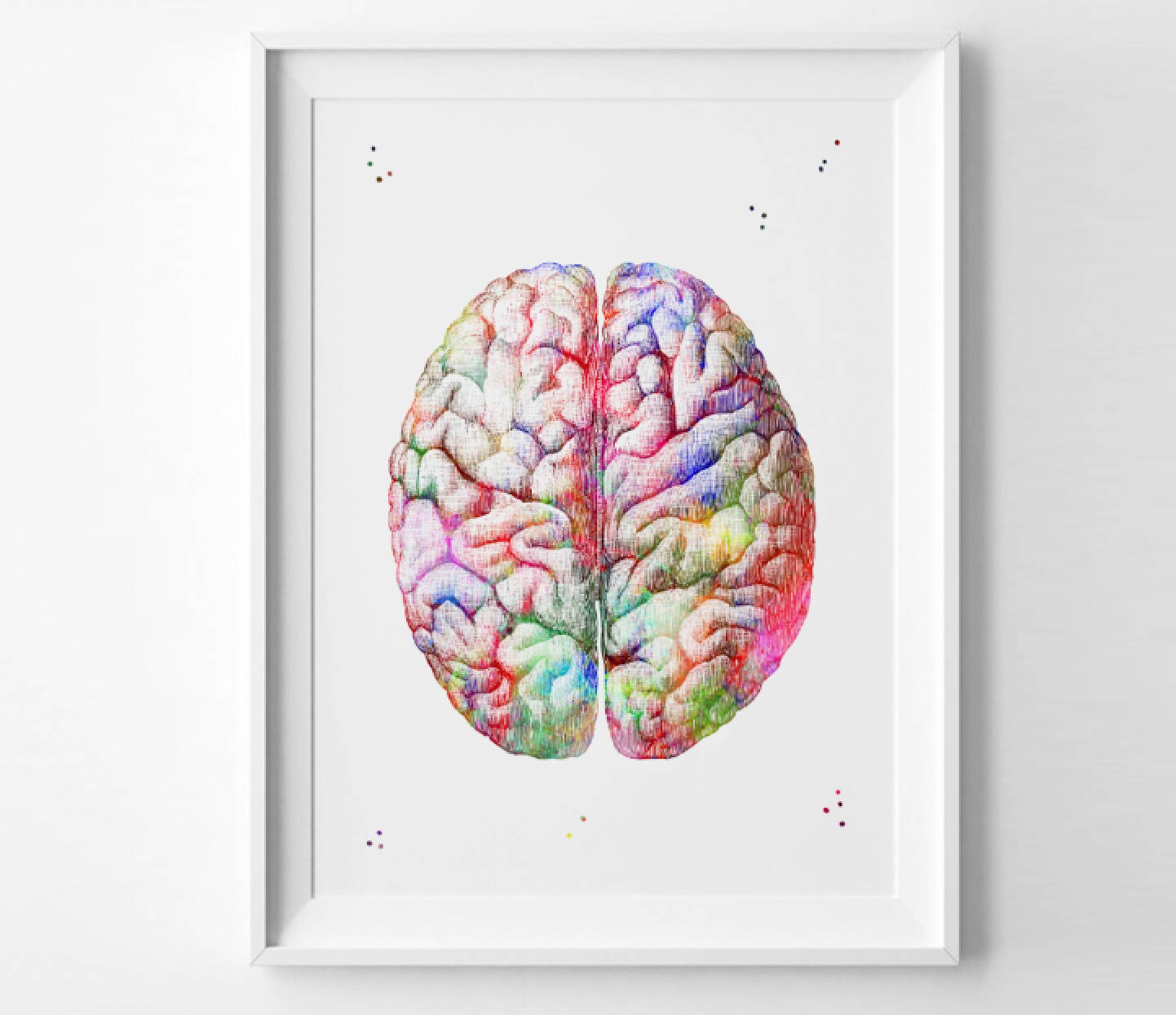 Human Brain Print Watercolor Hospital decor Anatomy Brain Art | Etsy