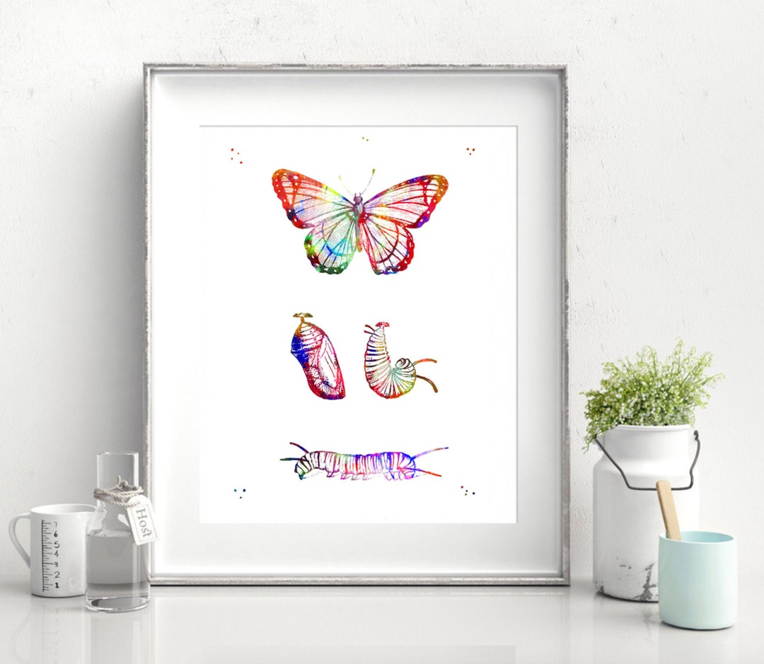 BUTTERFLY Life Cycle Watercolor Print Butterflies Poster Science Art ...