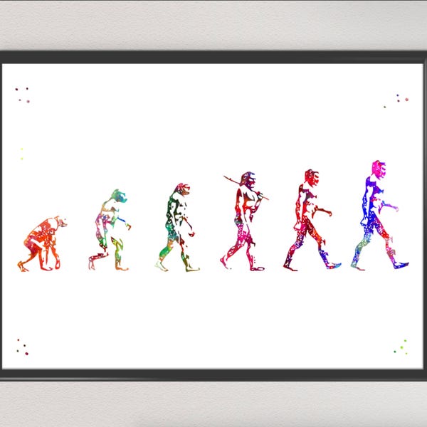 Human Evolution Poster - Etsy