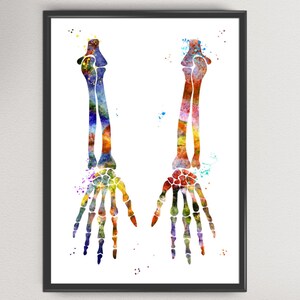 Hand Bones Watercolor Print Anatomy Human Print Anatomy Art Print Human ...