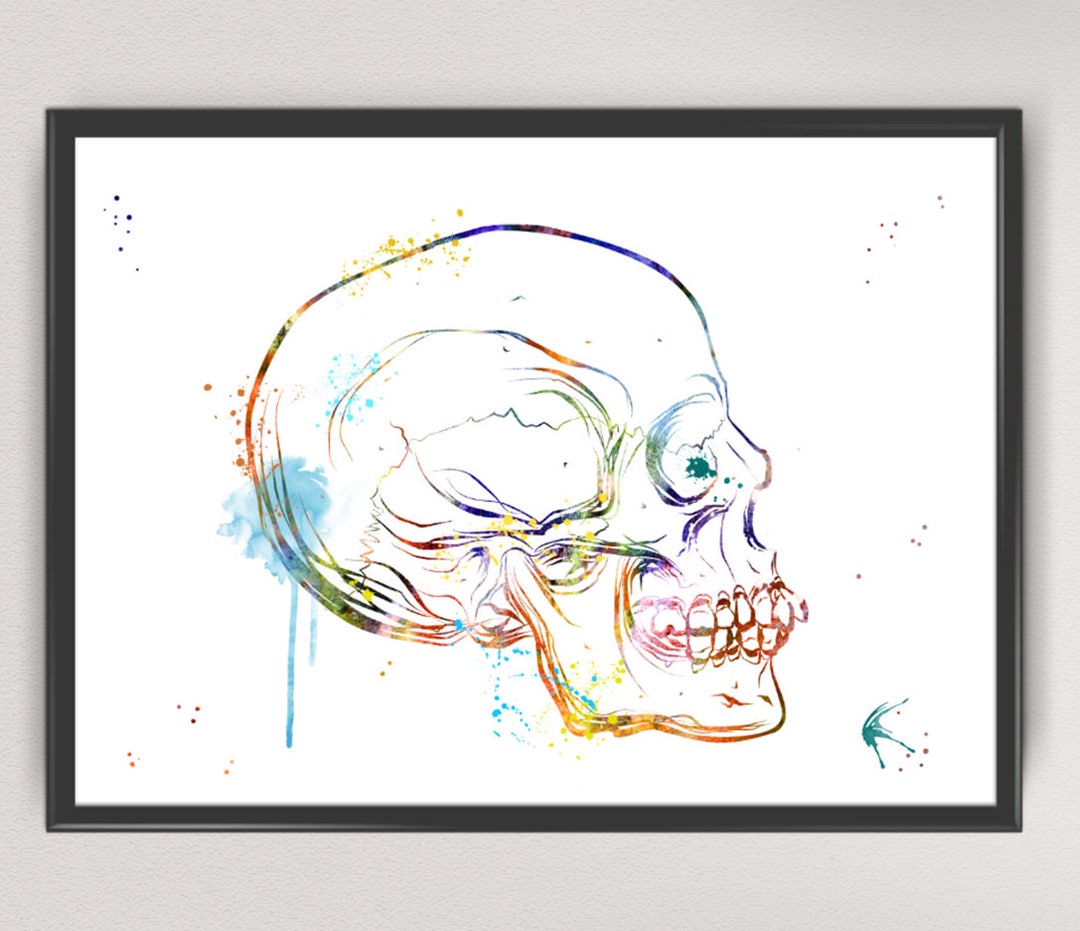 Human Skull Brain Print Watercolor Anatomy Art Print Human Skull ...