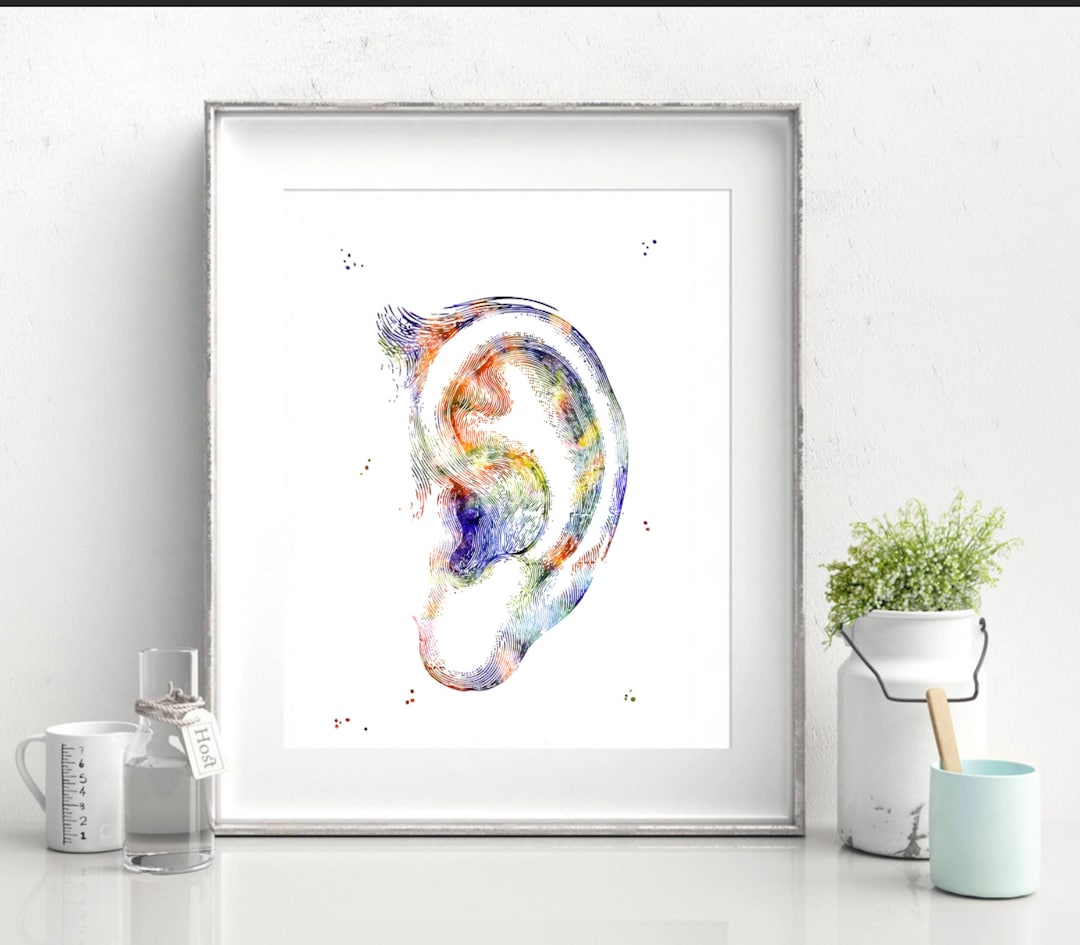 Ear Watercolor Print Anatomy Ear Poster Human Print Anatomy Art Print ...